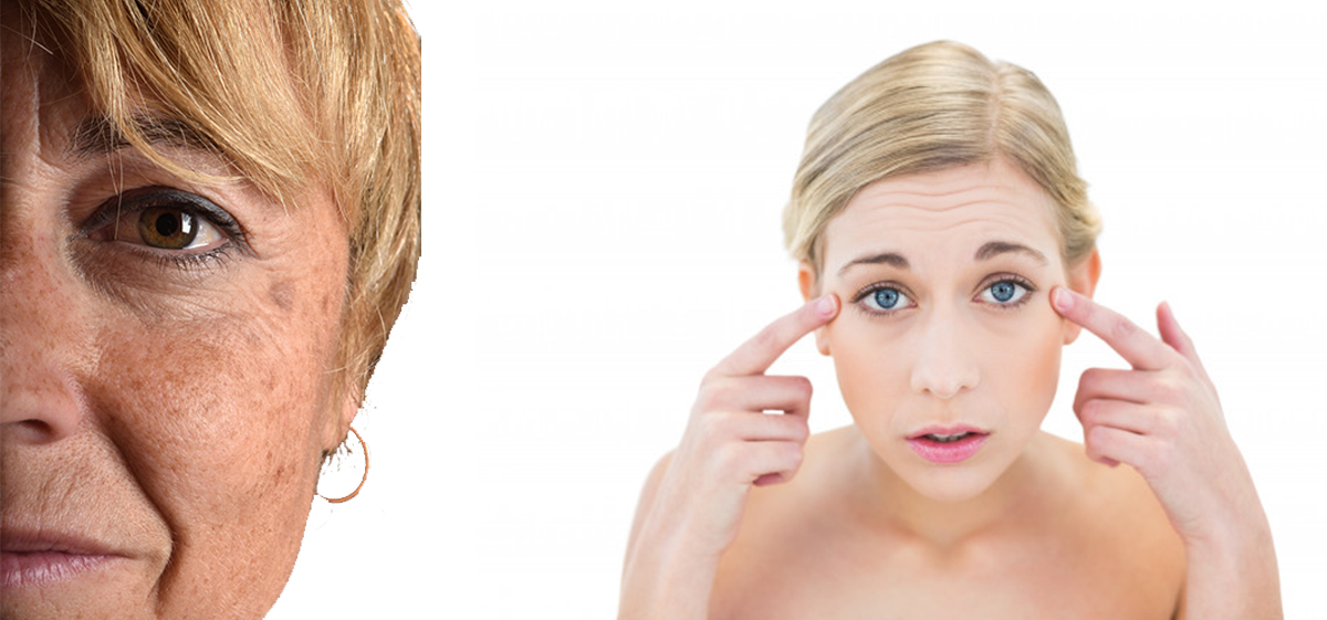 深圳市湖大谷奥生物科技有限公司-SOD与皮肤